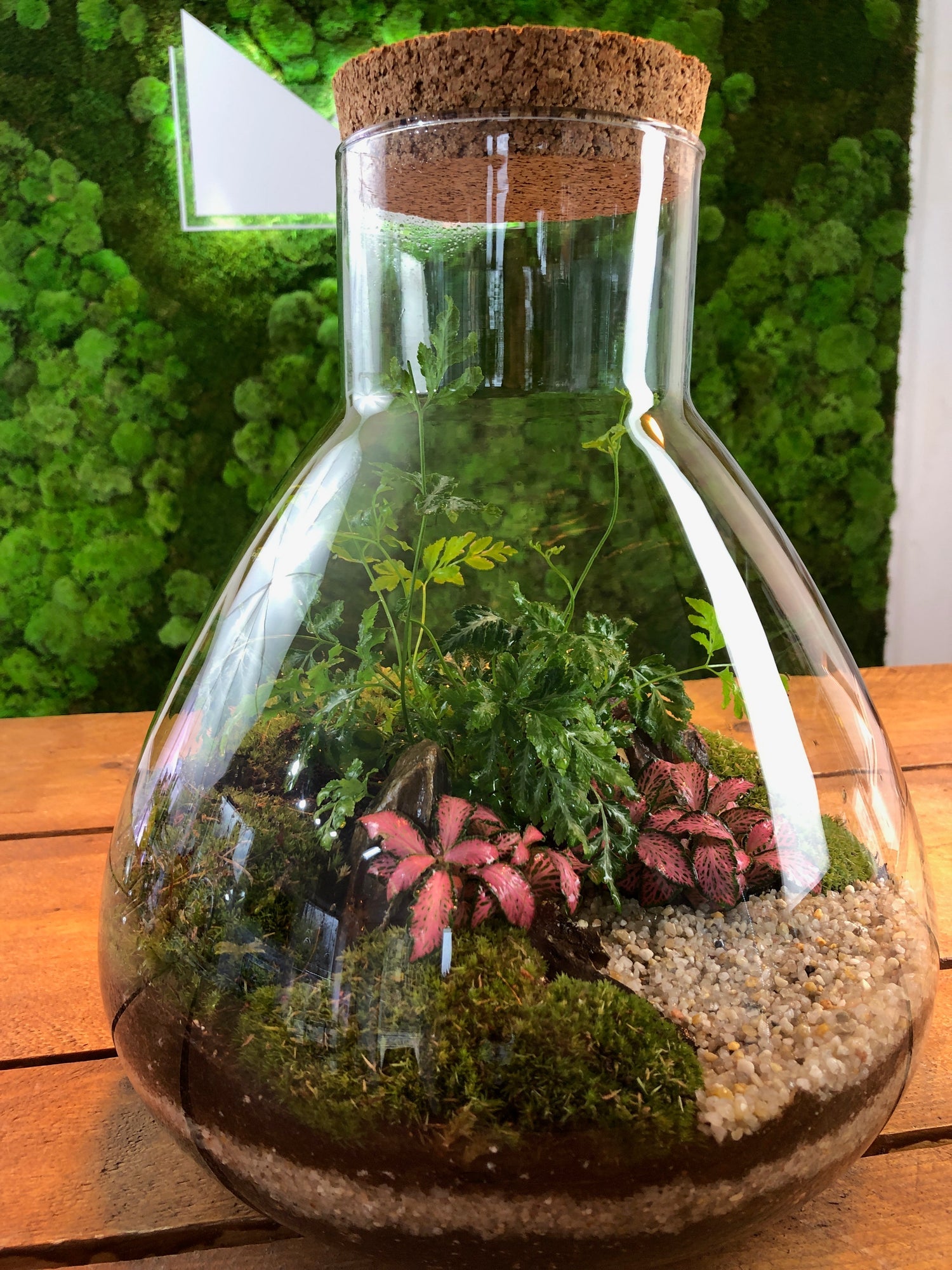 Closed-Top Terrarium Workshop Glasgow | Build a Living Ecosystem ...