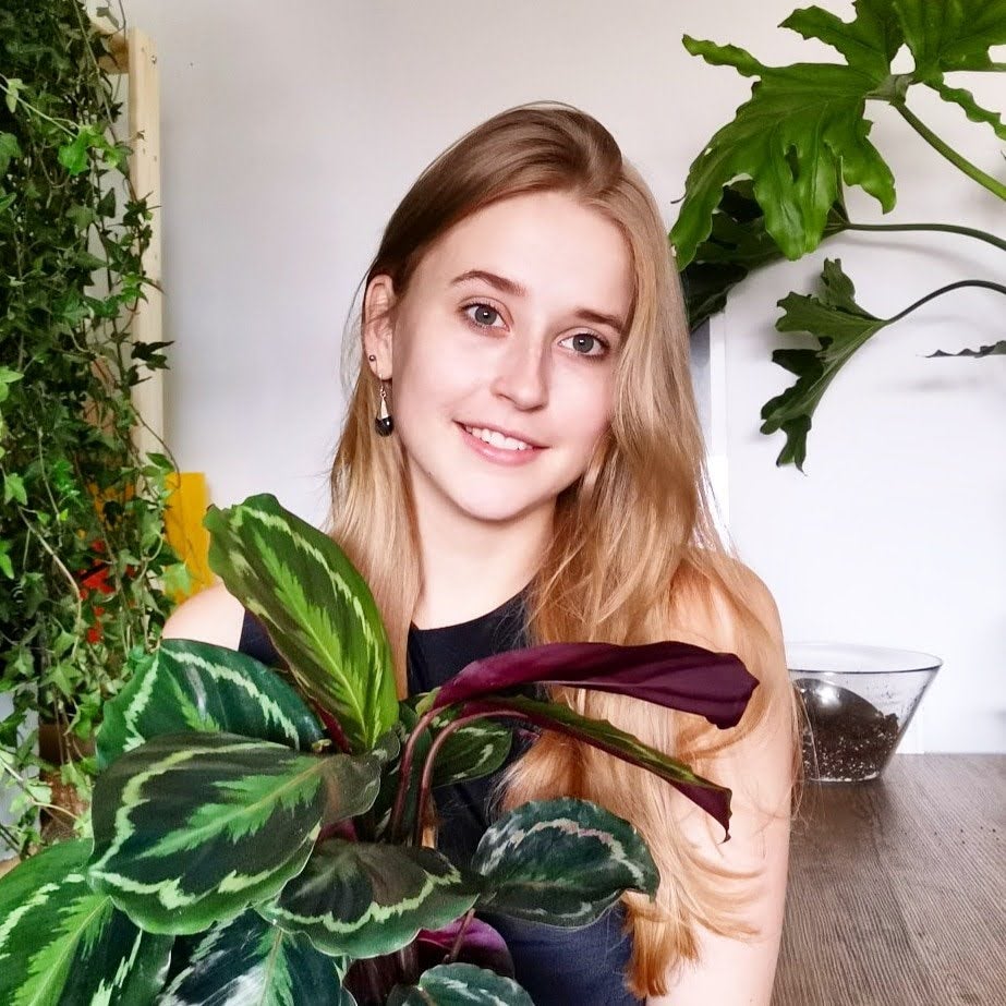 PlantBaby Care Clinic | Glasgow PlantMama